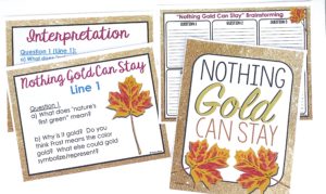 7 Creative Activities to Teach The Outsiders by S.E. Hinton - Presto Plans