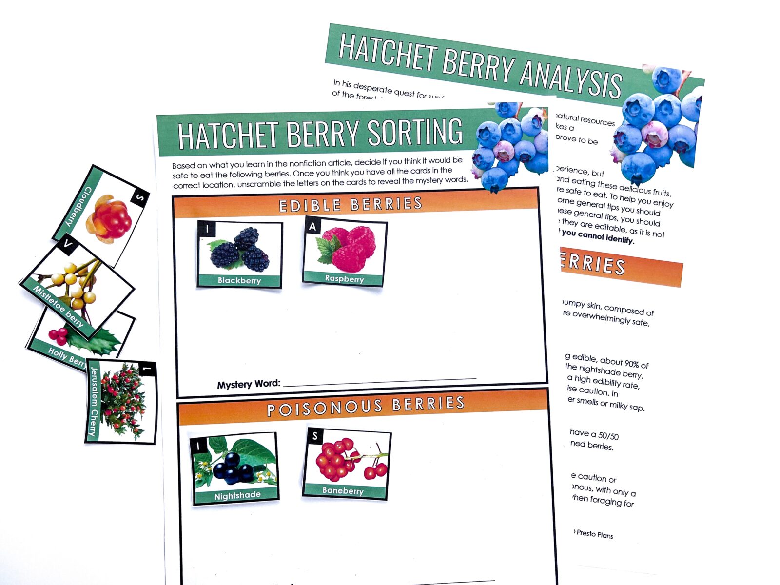 8 Creative Activities for Teaching Hatchet by Gary Paulsen - Presto Plans