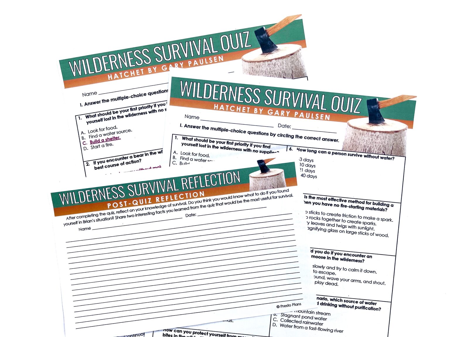 8 Creative Activities for Teaching Hatchet by Gary Paulsen - Presto Plans