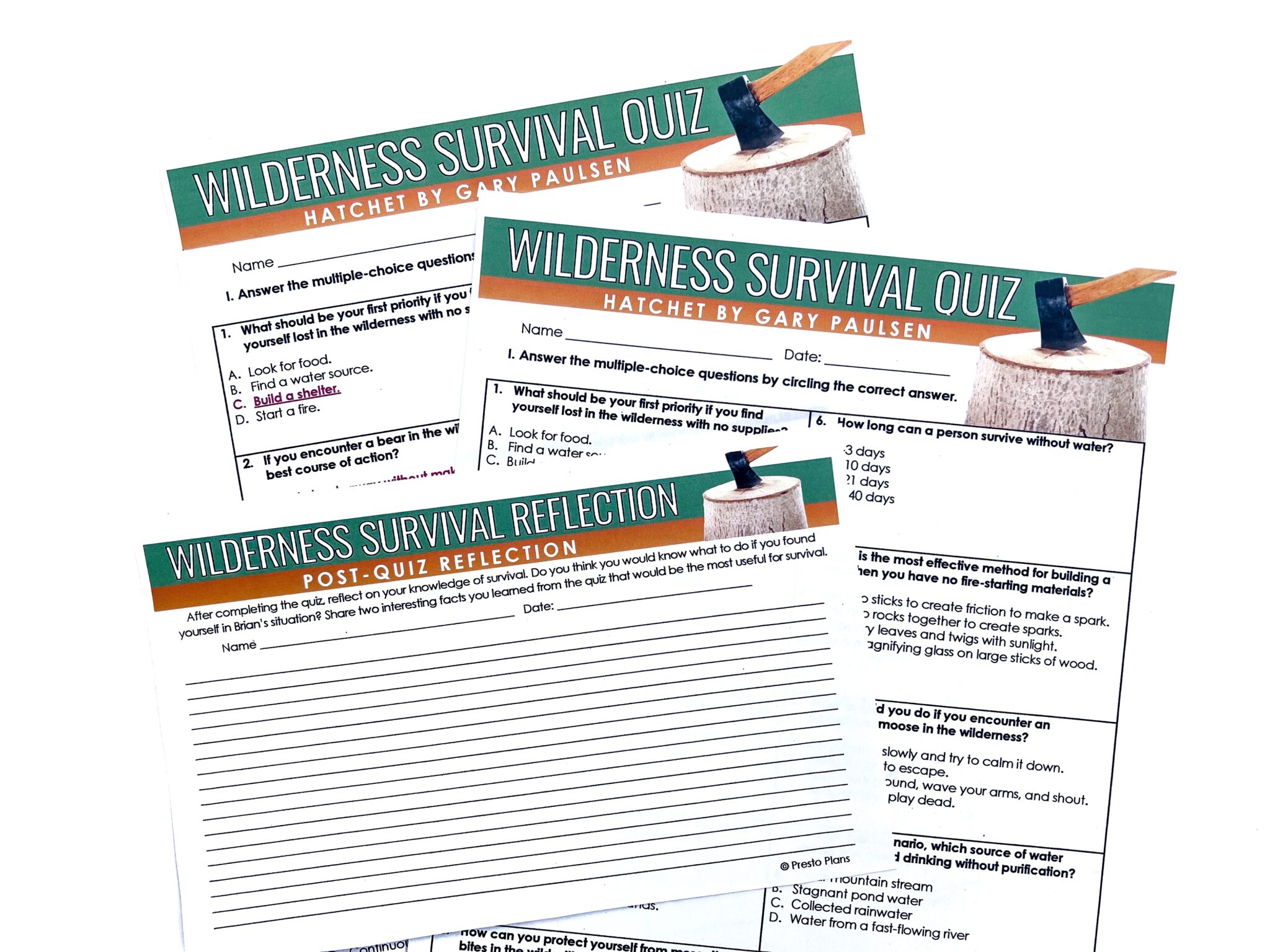 8 Creative Activities for Teaching Hatchet by Gary Paulsen - Presto Plans